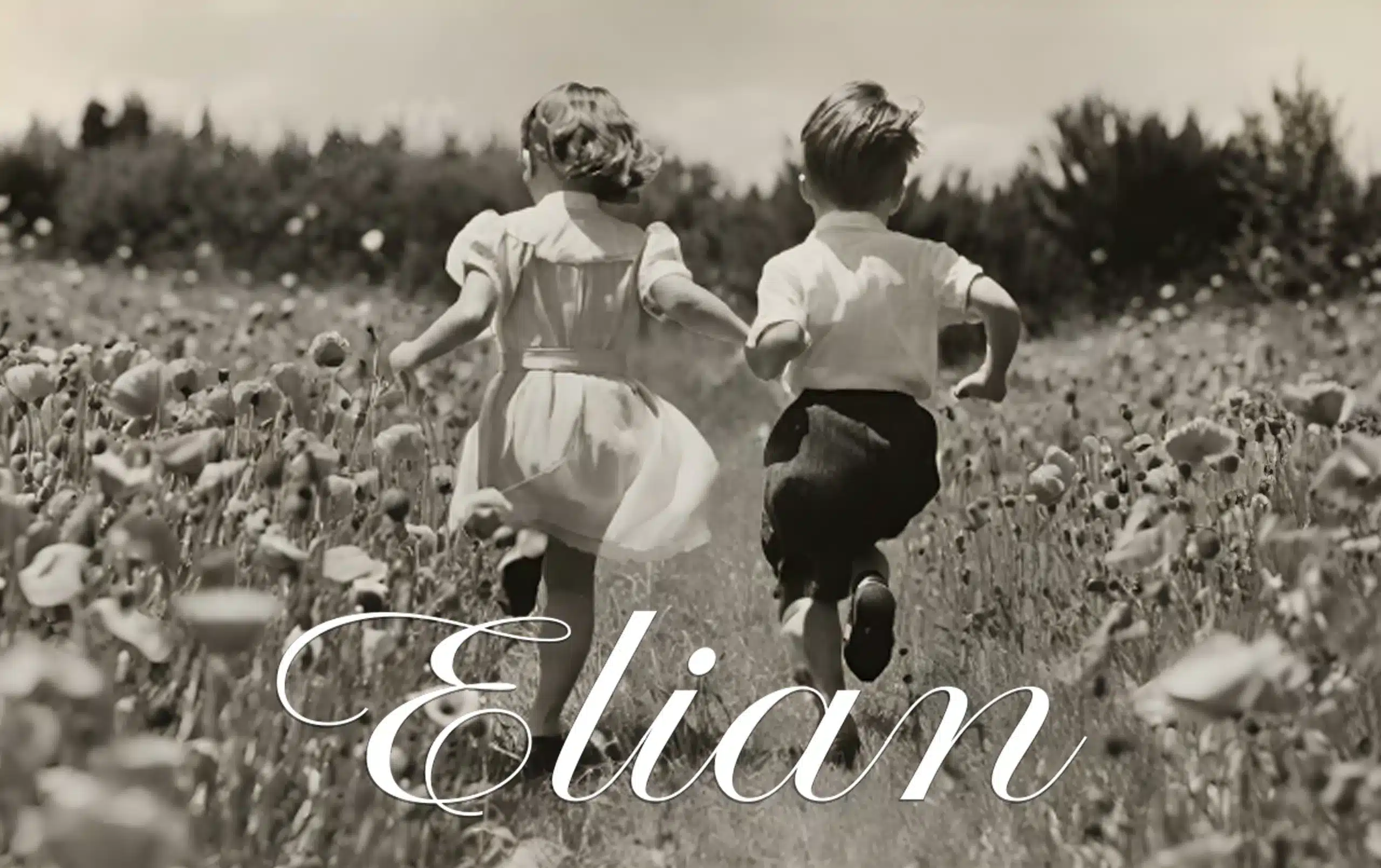 La box Elian - Le comptoir de l'épicurienne